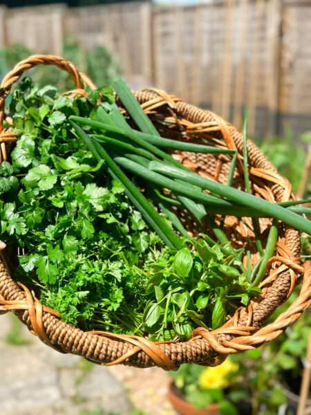 Tameya: Authentic Egyptian Falafel - PEANUTSWIRLS